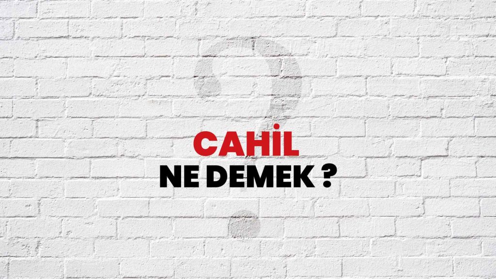Cədvəl : Formaları, Nümunələr - 2025 - Xaricdə Təhsil